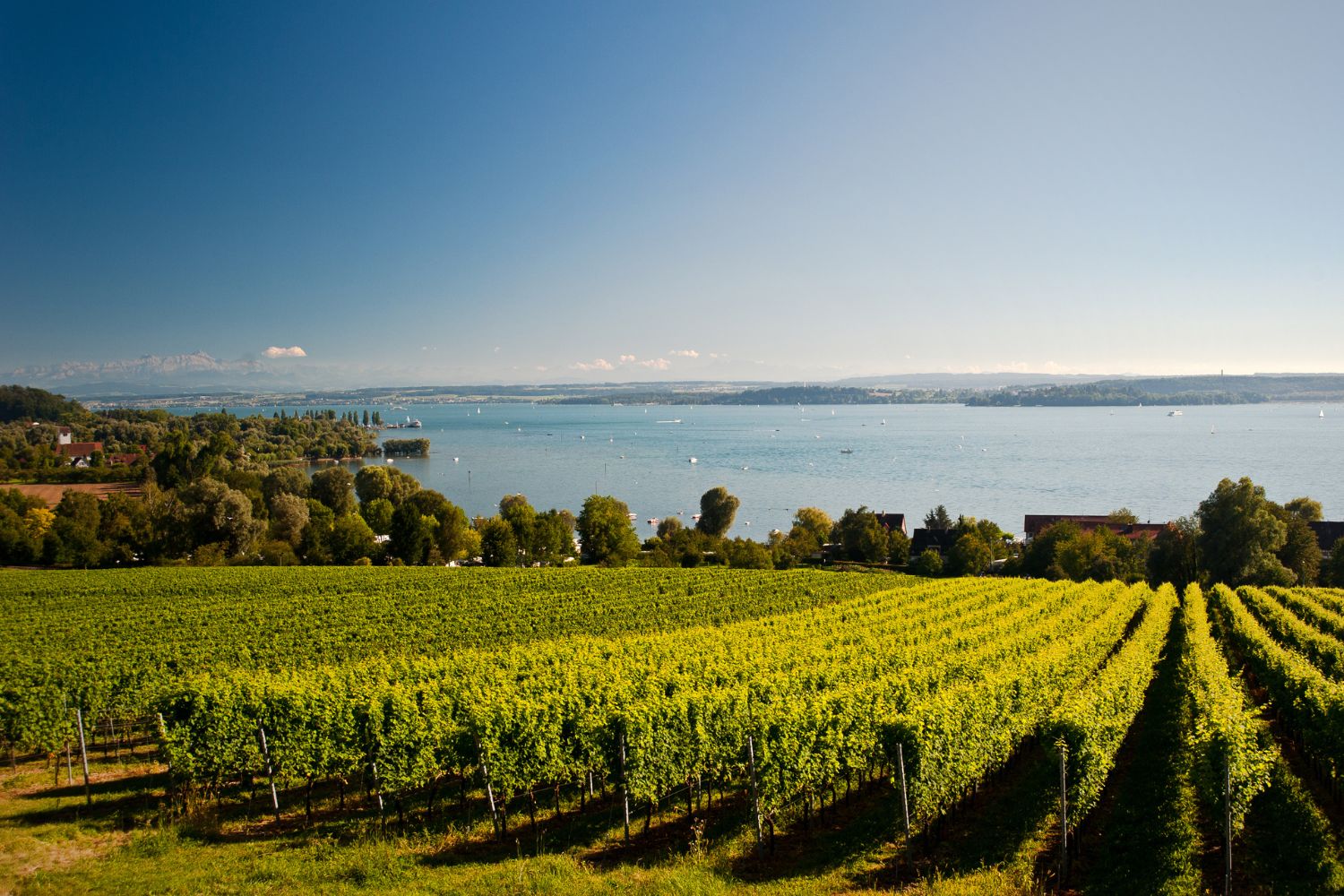 Wann ist die schönste Zeit für Urlaub am Bodensee? - Fewoland